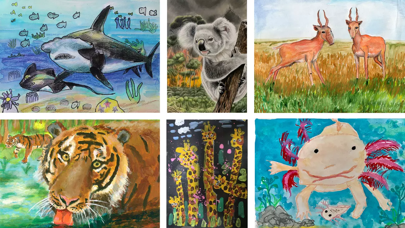 The IFAW World of Animals Art Contest - Pedagogue