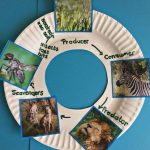 17 Cool Ways to Teach Food Webs and Food Chains - Pedagogue