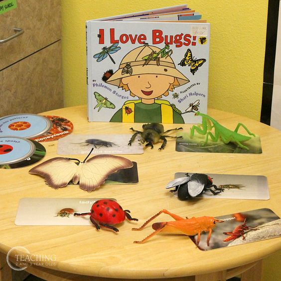 Critters in the Classroom: Bugs, Insects and Other Creepy Crawly Kits ...