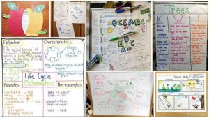 Graphic Organizers 101: Why and How To Use Them - Pedagogue