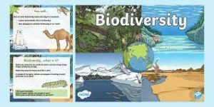 17 Incredible Biodiversity Activities For Students Of All Ages - Pedagogue