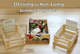20 Living vs Non-Living Science Activities - Pedagogue