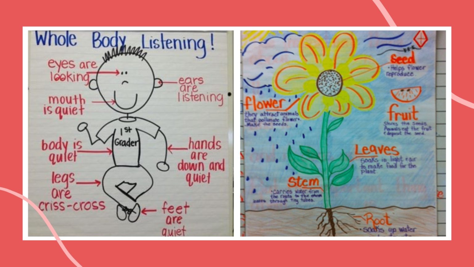 Anchor Chart Design Posters - Pedagogue