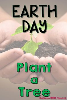 National Tree Day 2023 Classroom Activities Planet Ark And Teach ...