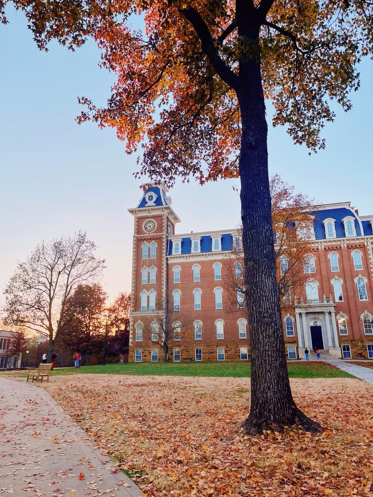 University of Arkansas at Pine Bluff Appoints Andrea Stewart as Interim ...